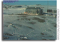 Devon Island Update - Polar Bears Return - NASA Watch