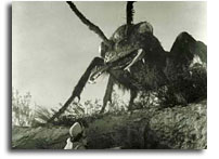 Giant Ravenous Ants Threaten JSC - NASA Watch