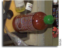 Spice in Space - NASA Watch