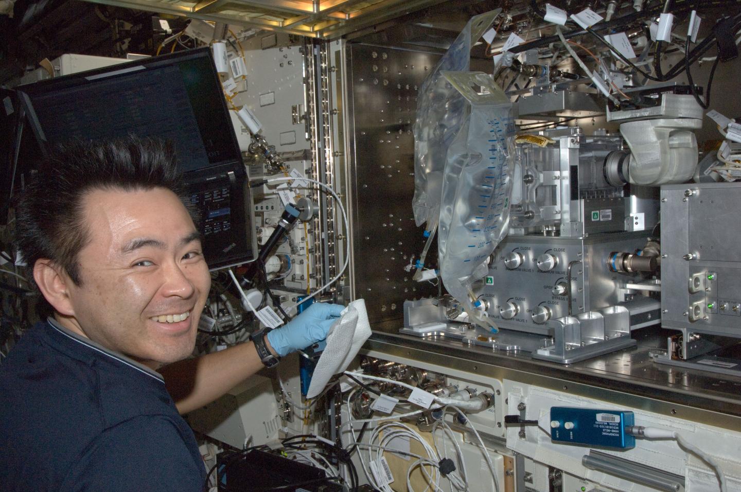 Zebrafish flex their muscles for research aboard the International ...