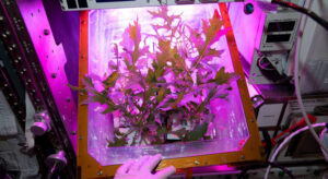 NASA SMD Biological and Physical Sciences Community Town Hall - SpaceRef