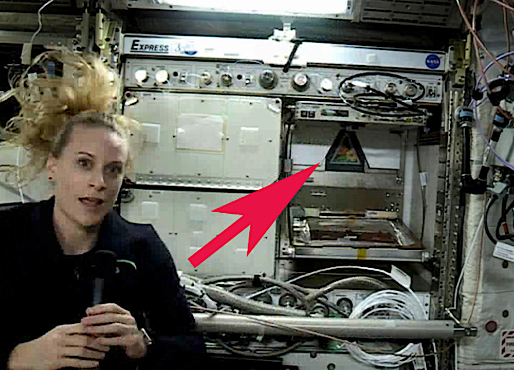 Honoring Space Biology Pioneers in Orbit - NASA Watch
